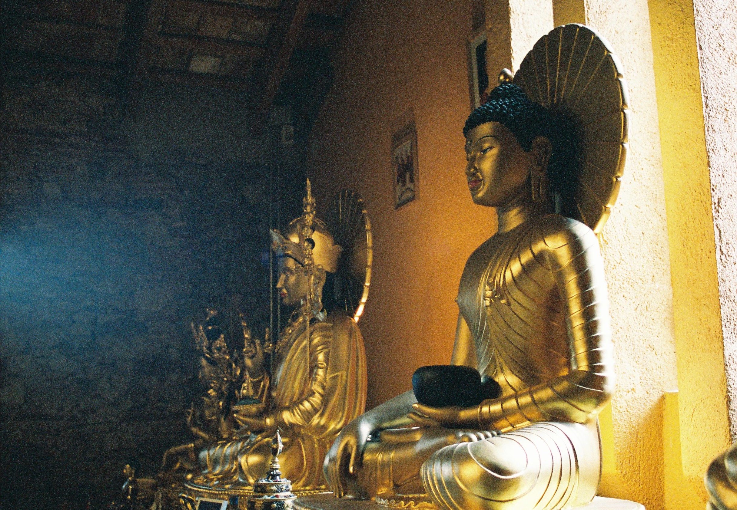 Learning to Desire: An Ethics of Desire, Love, and Relationships According to Buddhism - Casa Virupa